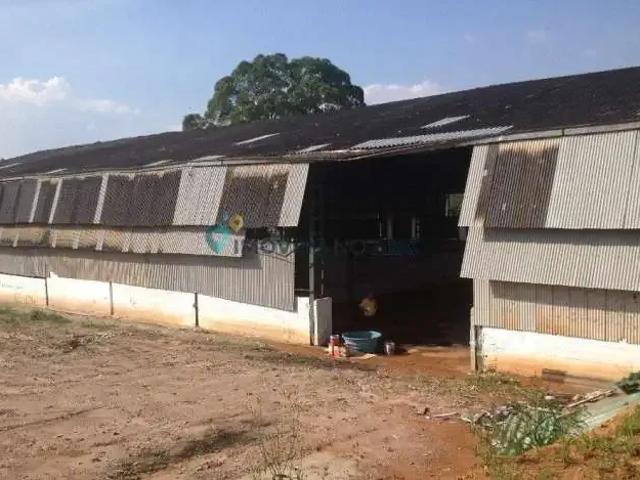 Galpão / Depósito para Locação em São Bernardo do Campo/SP Batistini