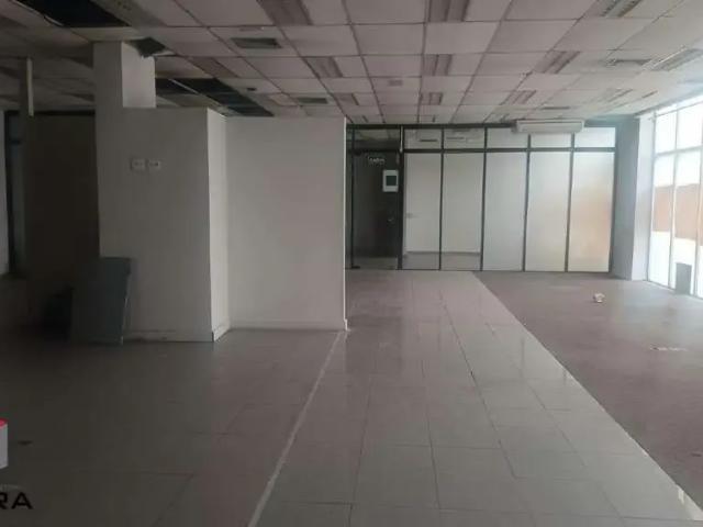 Galpão / Depósito para Locação em São Caetano do Sul/SP Nova Gerty