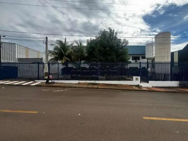 Galpão / Depósito para Locação em São José do Rio Preto/SP Distrito Industrial Doutor Carlos Arnaldo e Silva