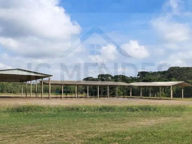 Galpão / Depósito para Locação em São José dos Pinhais/PR Cachoeira