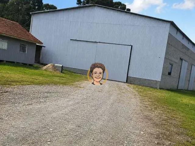 Galpão / Depósito para Locação em São José dos Pinhais/PR Contenda