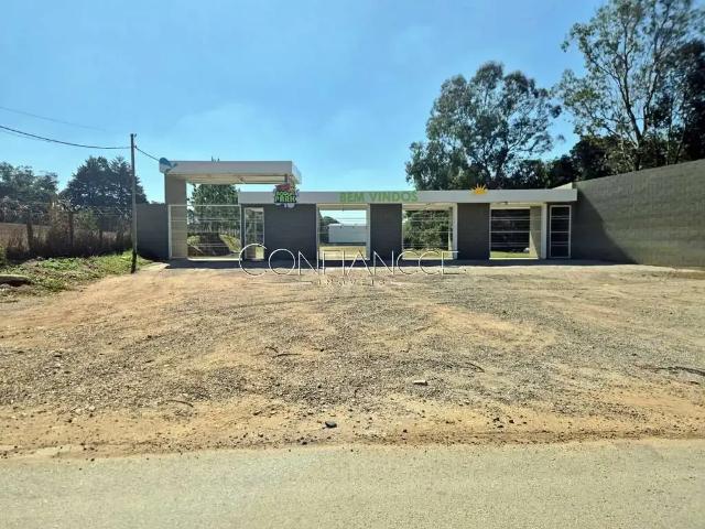 Galpão / Depósito para Locação em São José dos Pinhais/PR Colônia Murici