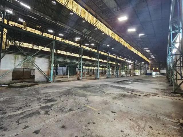 Galpão / Depósito para Locação em São Paulo/SP Cangaíba
