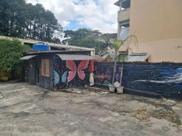 Galpão / Depósito para Locação em São Paulo/SP Horto Florestal