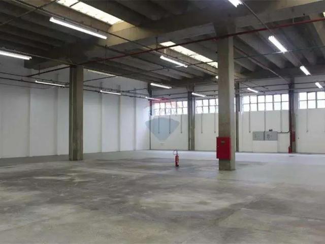 Galpão / Depósito para Locação em São Paulo/SP Lapa