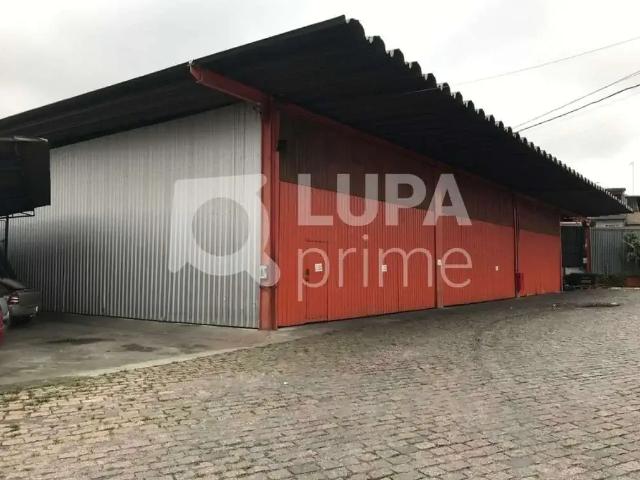 Galpão / Depósito para Locação em São Paulo/SP Parque Novo Mundo