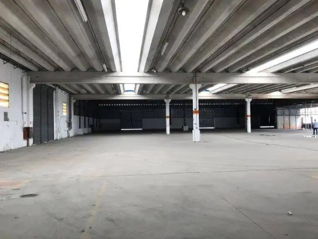 Galpão / Depósito para Locação em São Paulo/SP Parque São Lourenço