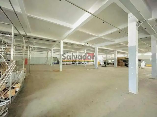 Galpão / Depósito para Locação em São Paulo/SP Vila Liviero