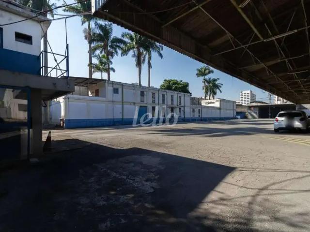 Galpão / Depósito para Locação em São Paulo/SP Vila Ribeiro de Barros