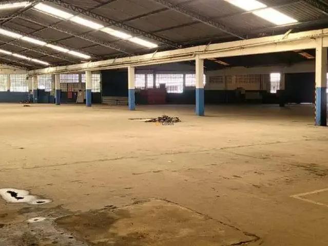 Galpão / Depósito para Locação em São Paulo/SP Vila Ribeiro de Barros