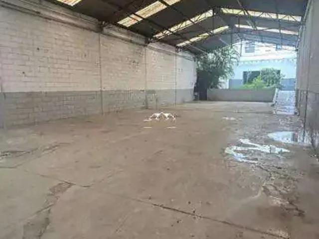 Galpão / Depósito para Locação em Santo André/SP Campestre