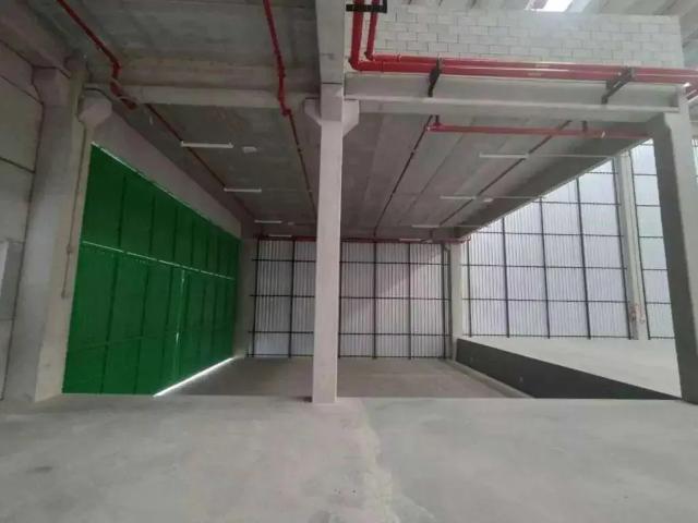 Galpão / Depósito para Locação em Santo André/SP Parque Central