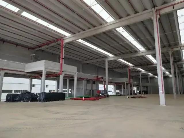 Galpão / Depósito para Locação em Santo André/SP Parque Jaçatuba