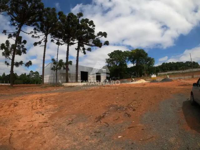 Galpão / Depósito para Locação em Ponta Grossa/PR Colônia Dona LuÍza