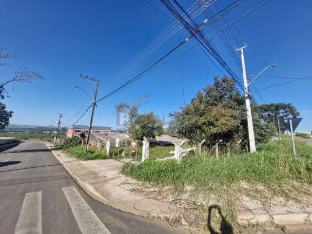 Galpão / Depósito para Locação em Ponta Grossa/PR Periquitos
