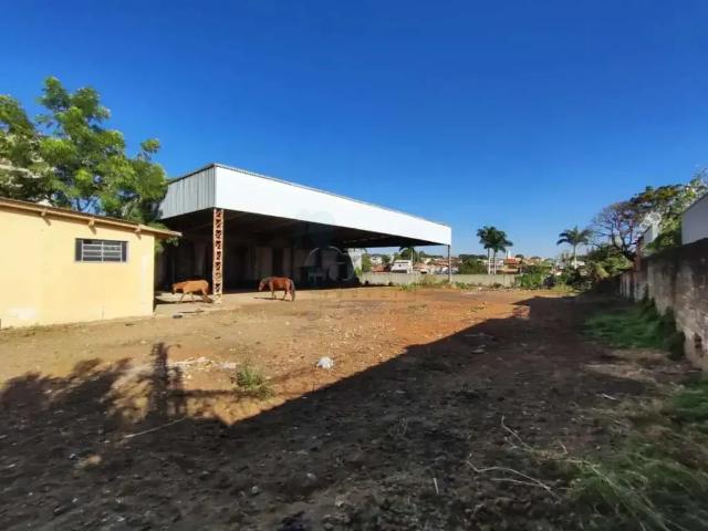 Galpão / Depósito para Locação em Ribeirão Preto/SP República 5 Quartos
