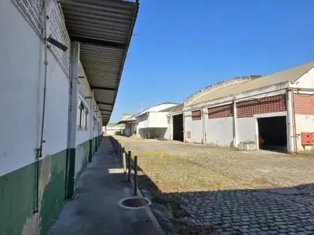 Galpão / Depósito para Locação em Rio de Janeiro/RJ Penha Circular