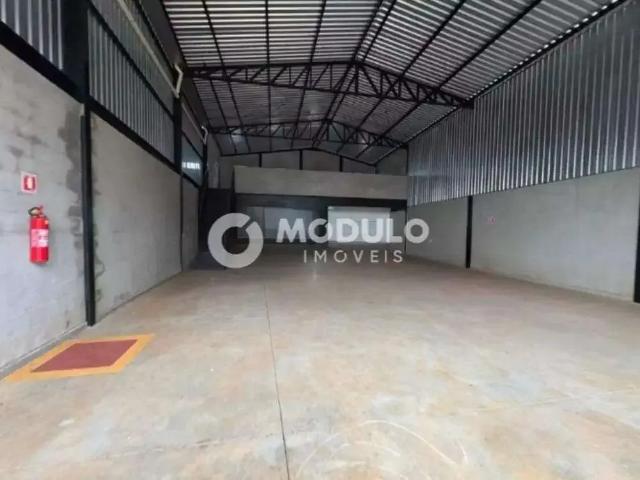 Galpão / Depósito para Locação em Uberlândia/MG Alto Umuarama