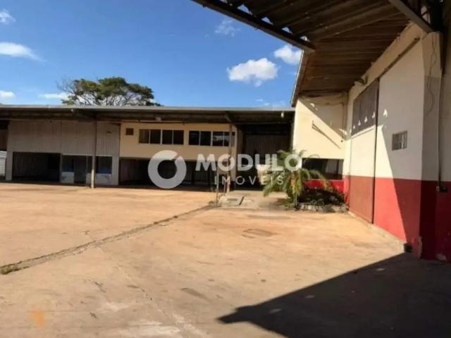 Galpão / Depósito para Locação em Uberlândia/MG Bom Jesus