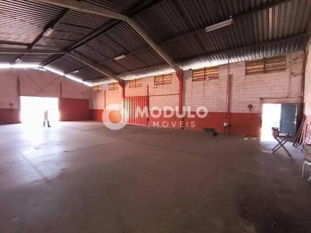 Galpão / Depósito para Locação em Uberlândia/MG Distrito Industrial