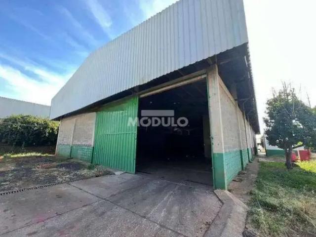 Galpão / Depósito para Locação em Uberlândia/MG Distrito Industrial