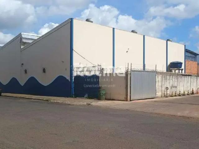 Galpão / Depósito para Locação em Uberlândia/MG Distrito Industrial