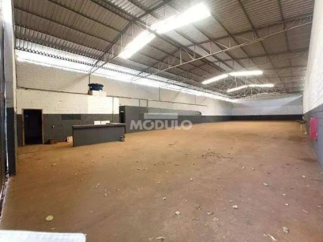 Galpão / Depósito para Locação em Uberlândia/MG Distrito Industrial