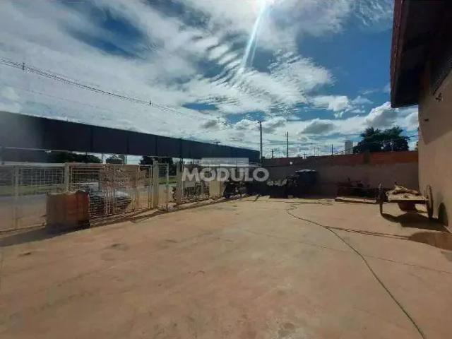 Galpão / Depósito para Locação em Uberlândia/MG Distrito Industrial