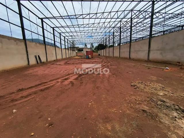 Galpão / Depósito para Locação em Uberlândia/MG Distrito Industrial
