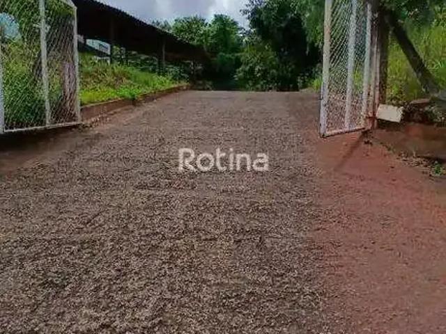 Galpão / Depósito para Locação em Uberlândia/MG Distrito Industrial
