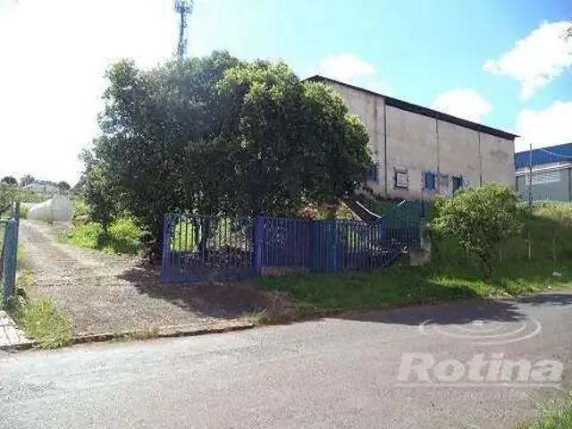 Galpão / Depósito para Locação em Uberlândia/MG Distrito Industrial