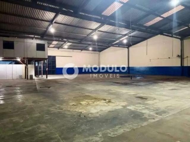 Galpão / Depósito para Locação em Uberlândia/MG Distrito Industrial