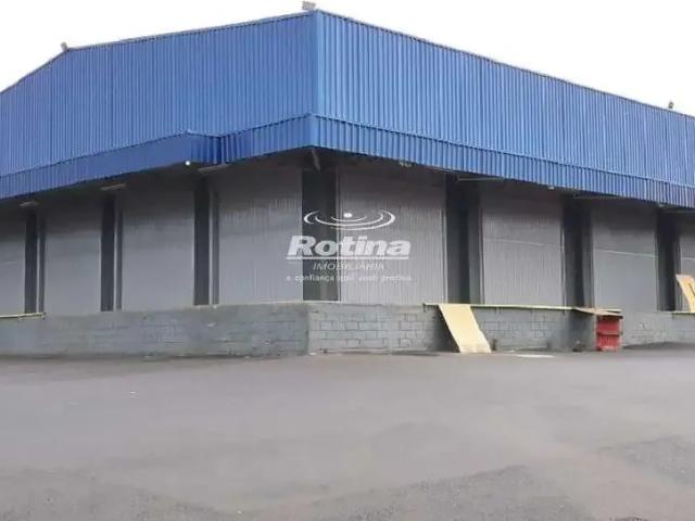 Galpão / Depósito para Locação em Uberlândia/MG Distrito Industrial