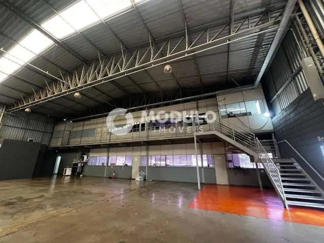 Galpão / Depósito para Locação em Uberlândia/MG Distrito Industrial