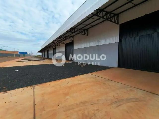 Galpão / Depósito para Locação em Uberlândia/MG Loteamento Centro Empresarial Leste I