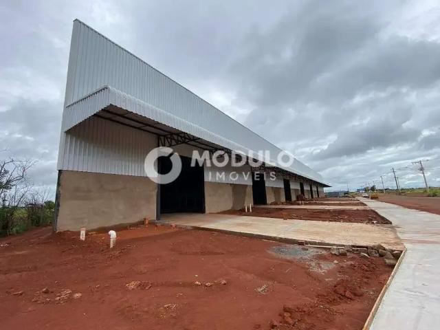 Galpão / Depósito para Locação em Uberlândia/MG Loteamento Centro Empresarial Leste I