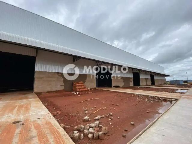 Galpão / Depósito para Locação em Uberlândia/MG Loteamento Centro Empresarial Leste I