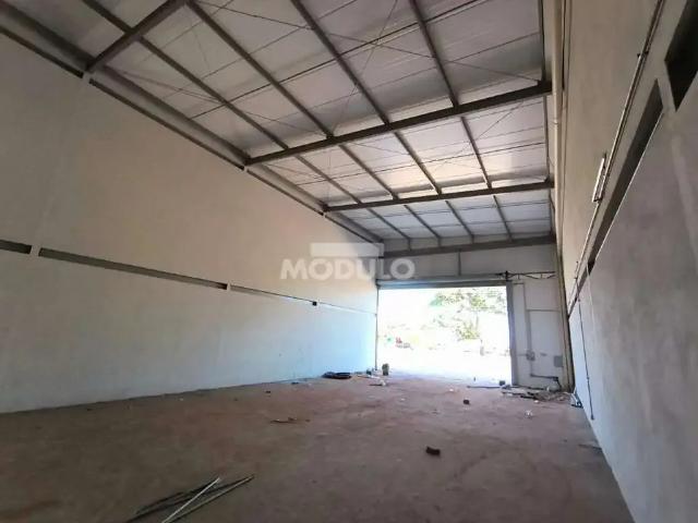 Galpão / Depósito para Locação em Uberlândia/MG Santa Mônica