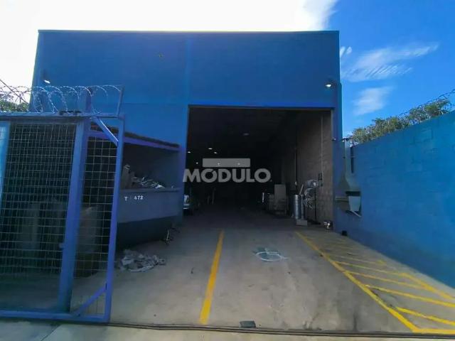 Galpão / Depósito para Locação em Uberlândia/MG Santa Rosa