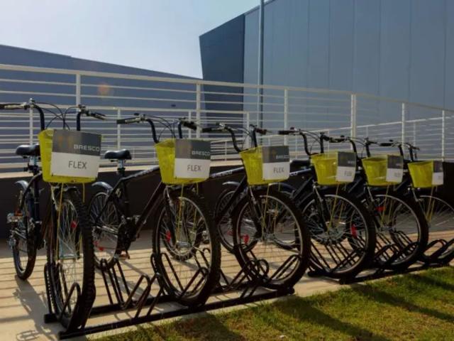Galpão Estratégico Próximo ao Aeroporto de Viracopos – Excelente Infraestrutura e Localização