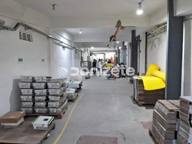 Galpão Comercial para Aluguel – Campestre, Santo André | 1.350 m² com 6 Salas