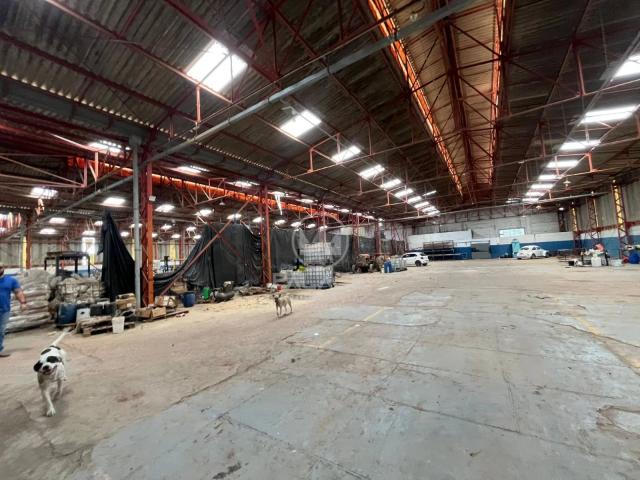 Galpão para alugar no Vitória Perin Cezarino RIO DAS PEDRAS 5 Dorms