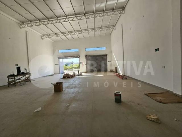 Galpão para aluguel, 4 vagas, novo mundo uberlandia/mg