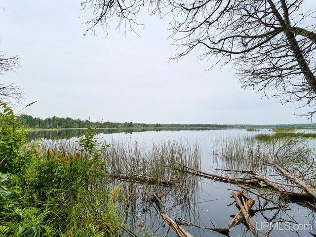 Gardapee Rd, Manistique, MI 49854