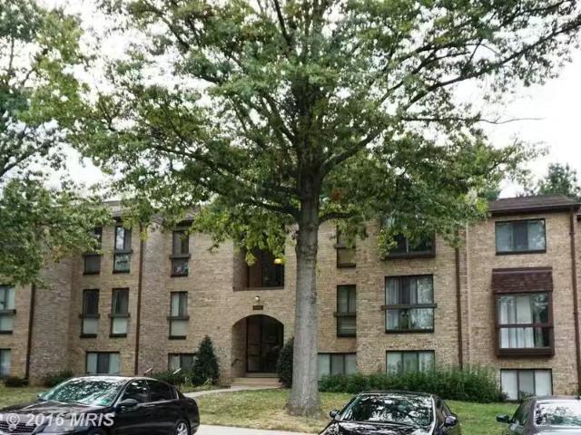 Garden 1 4 Floors, Traditional RESTON, VA 2068 Royal Fern Ct