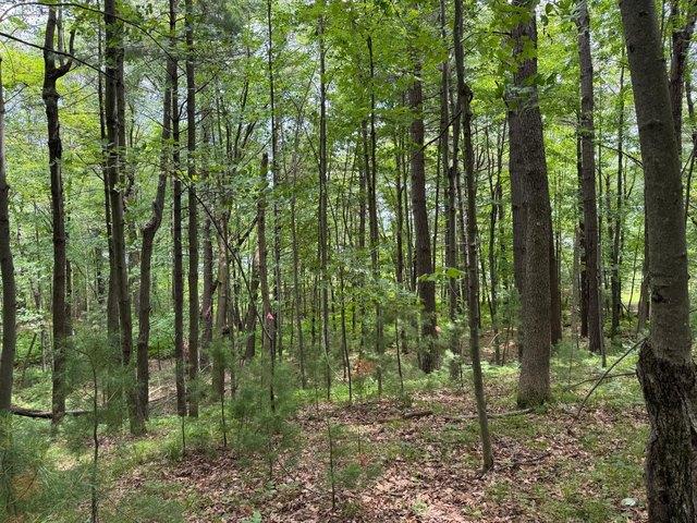 Garden Dr, Siren, WI 54872