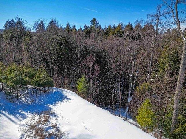 Garden Loop Rd, Winhall, Plot For Sale