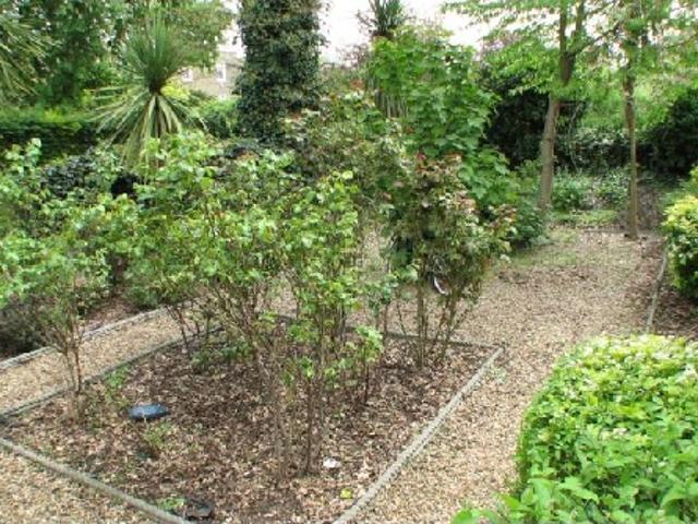 Garden Studio To Rent