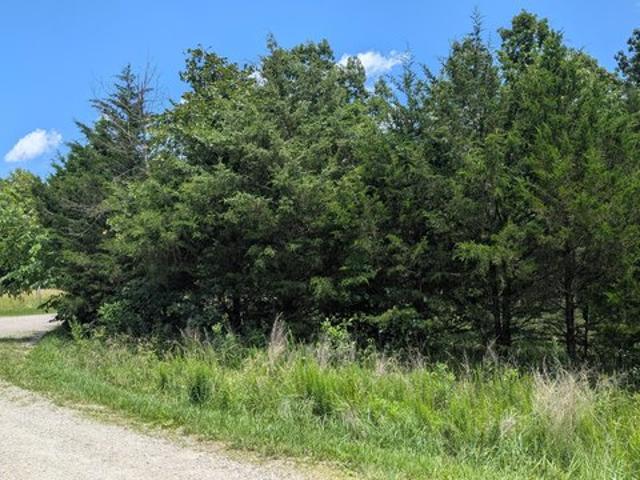 Gardner Hill Ln, Fordland, MO 65652