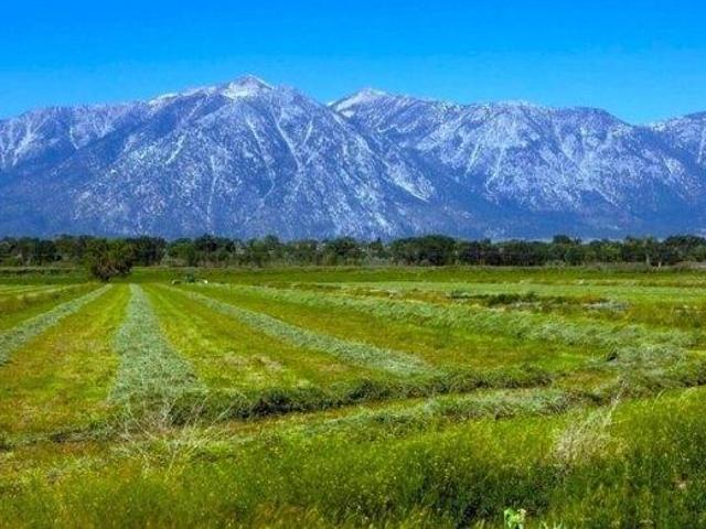 Gardnerville NV 89410 90947102